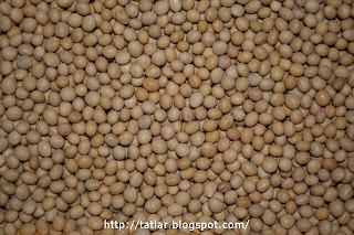 soya fasulyesi nedir hangi yemekleri yapılır? - PRATİK MUTFAK BİLGİLERİ