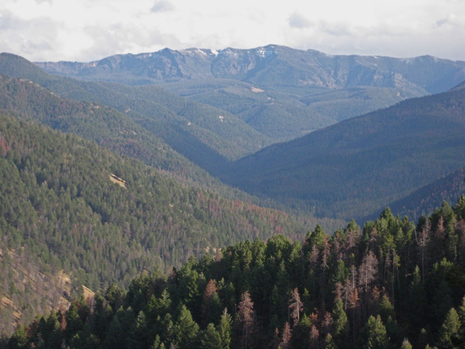Bozemanographer: Leverich Canyon