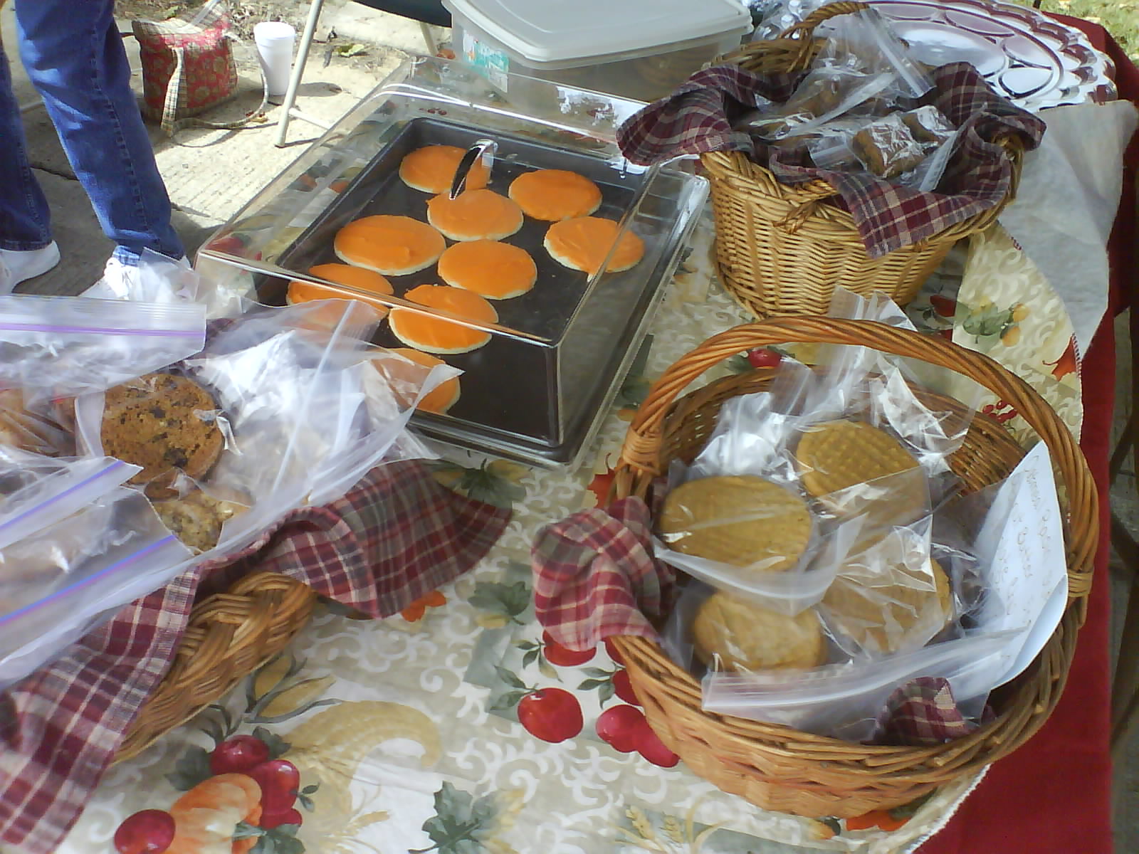 Salt Creek Valley Festival - Richmond Dale, Ohio