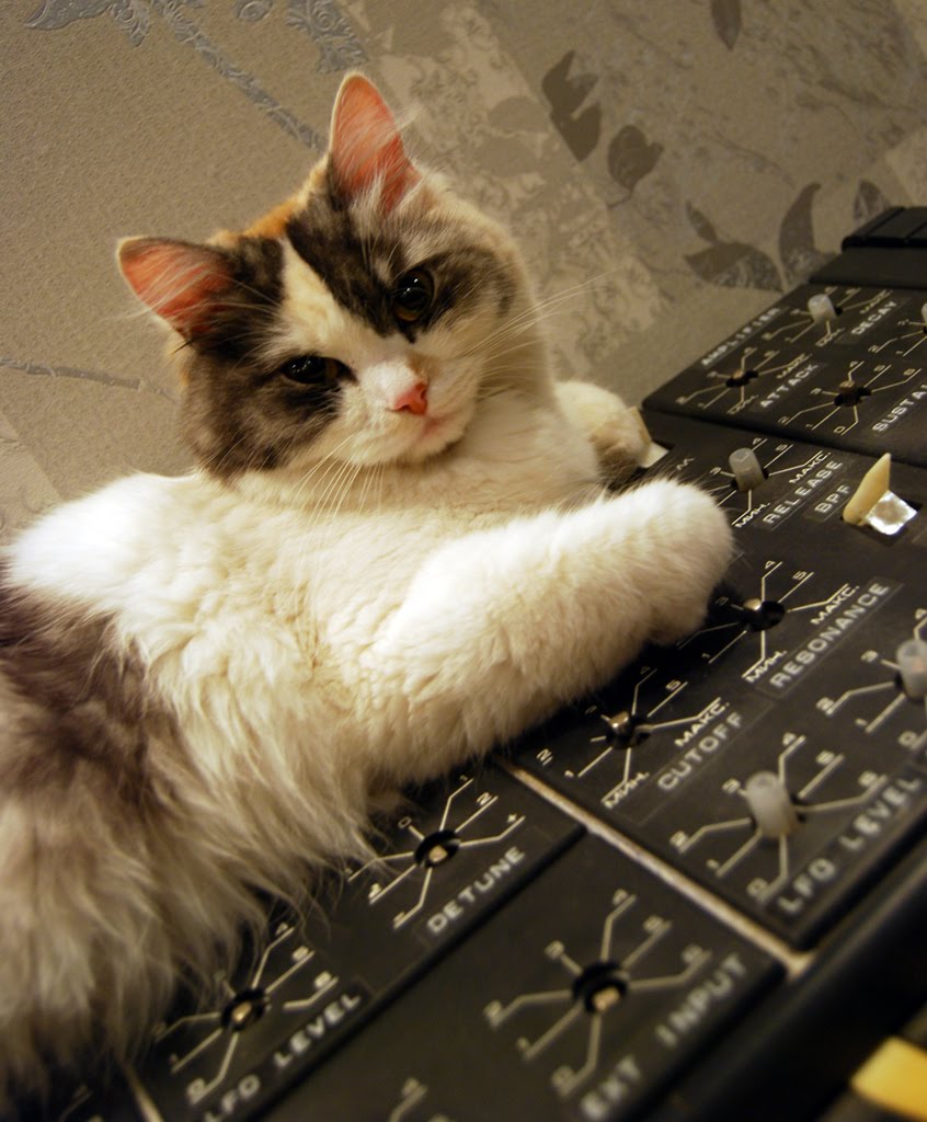 MATRIXSYNTH: Polivoks Synth Cat