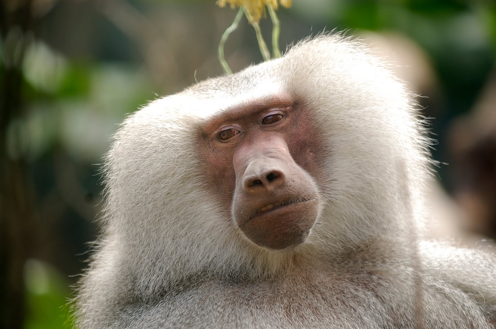 International Lifestyle Magazine: Do You Want Great Hair?