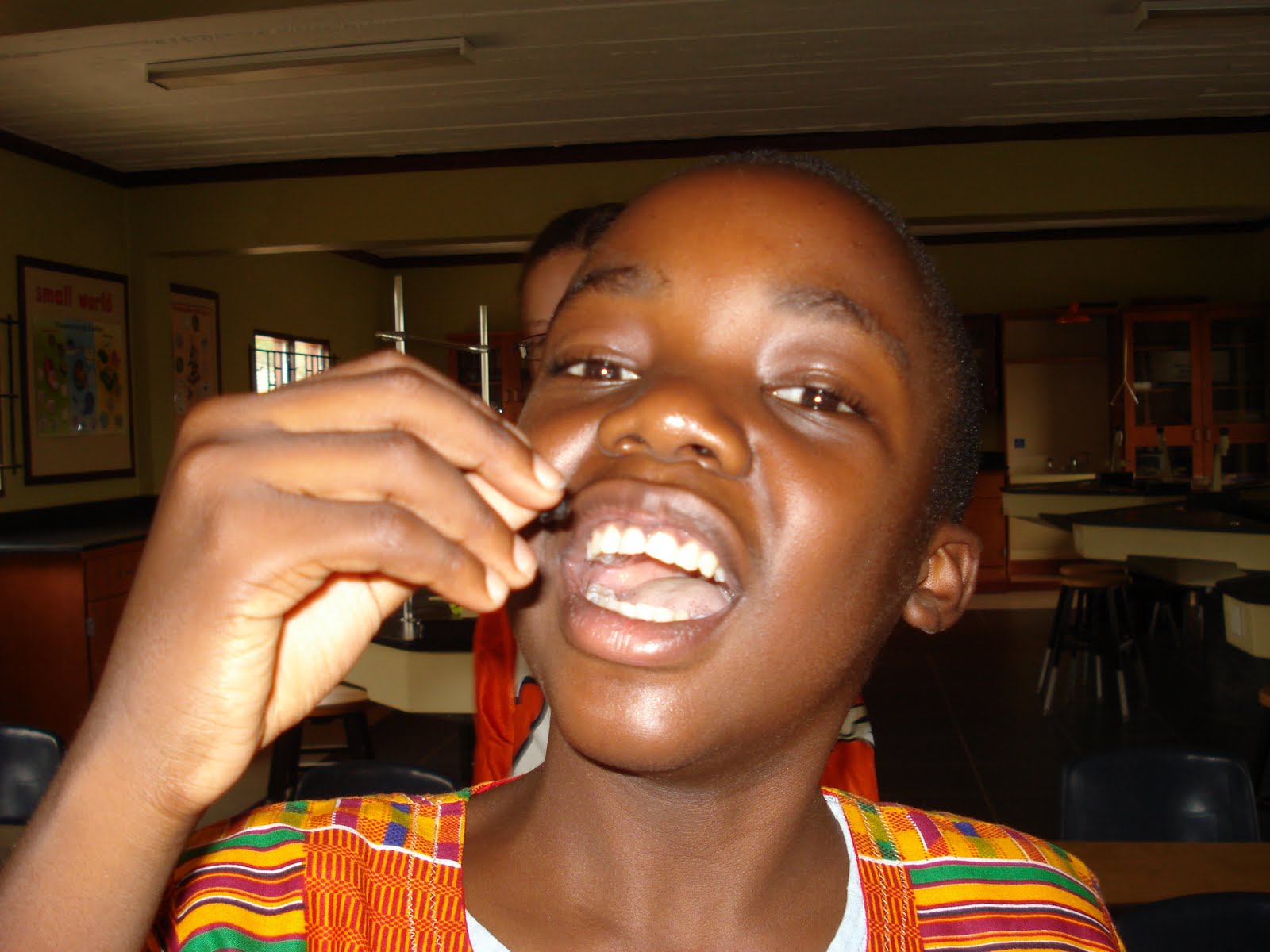 TEACHING IN MALAWI: How To Eat Giant Fried Flying Ants