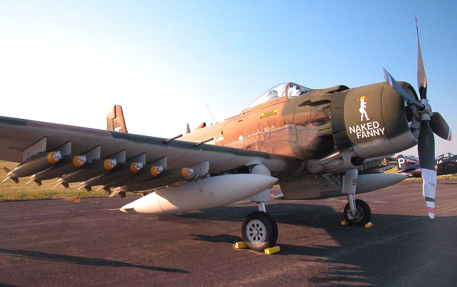 nhungdoicanh: Douglas A-1 Skyraider