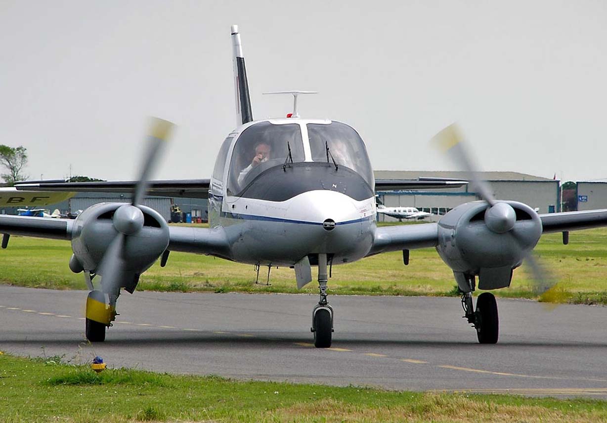 nhungdoicanh: Beagle B-206 Basset