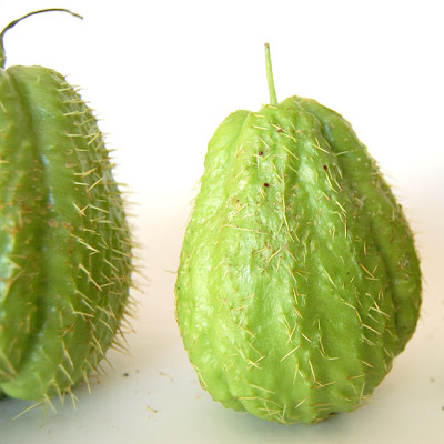 Bogotá: fruits and flowers – Why Evolution Is True