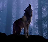 White Blue: Quileute Legends