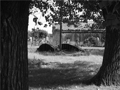 EL FERROVIARIO : FOTOS DE MIGUEL BOVER