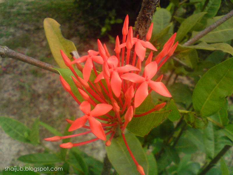 Veli Tourist Spot, Thiruvananthapuram | Shai blogs!