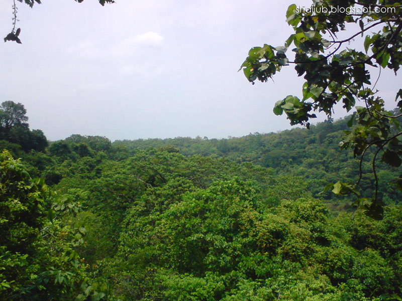 Thenmala Ecotourism - Adventure Zone | Shai blogs!