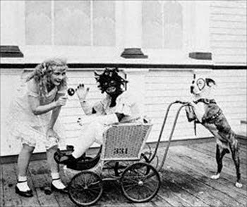 The Nanny Dog: The Nanny Dog Myth Revealed