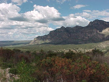 UMA CERRO BLANCO: Ejido Cerro Blanco, Súchil, Durango