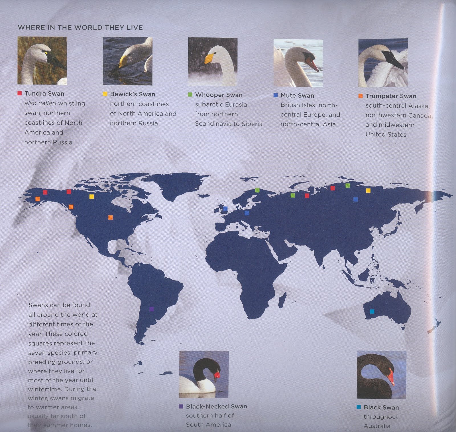 Mary's i-search blog