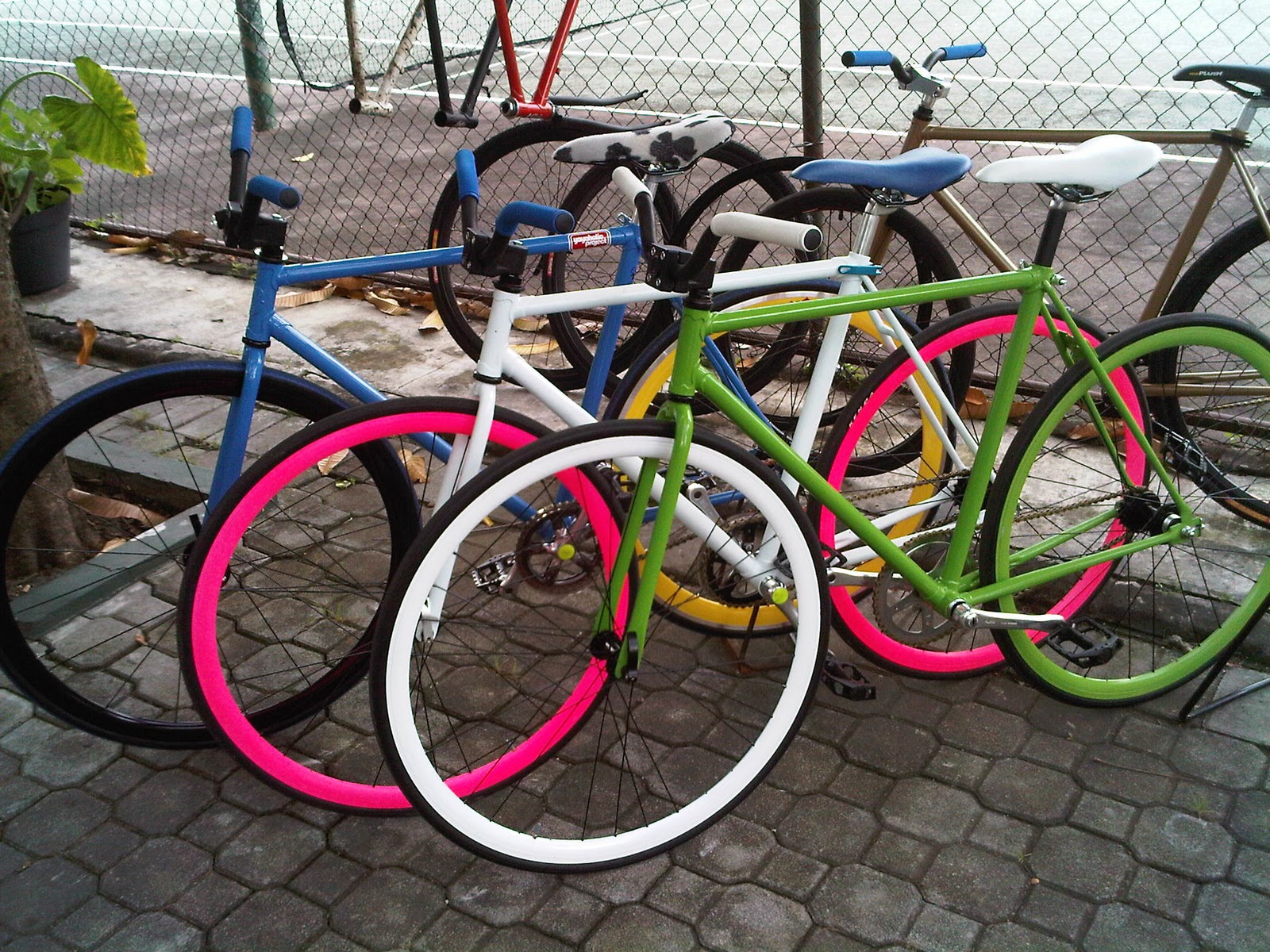 dydyah: sepeda fixie