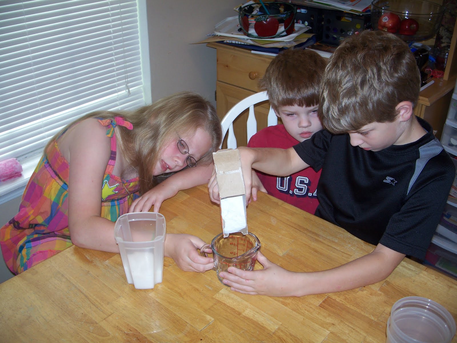 Chelsea Academy: Science Experiment - Mummified Apple