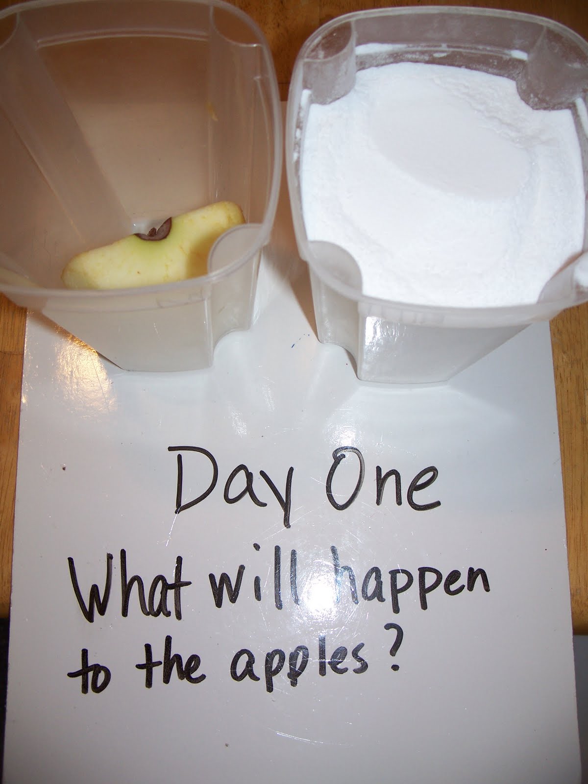 Chelsea Academy: Science Experiment - Mummified Apple