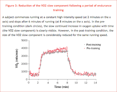 VO2max Research: The ‘slow component’ of VO2 – understand it to go faster!