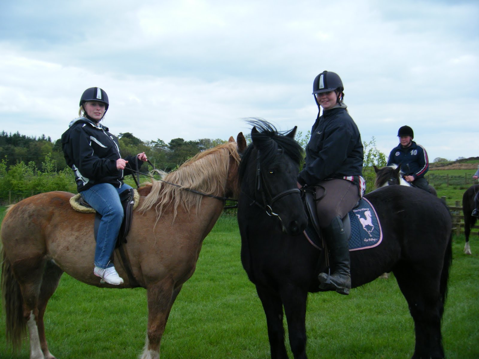 Broadgate Farm B & B and Cl site: TWO LOCALS ENOYING AN AFTERNOON PONY ...
