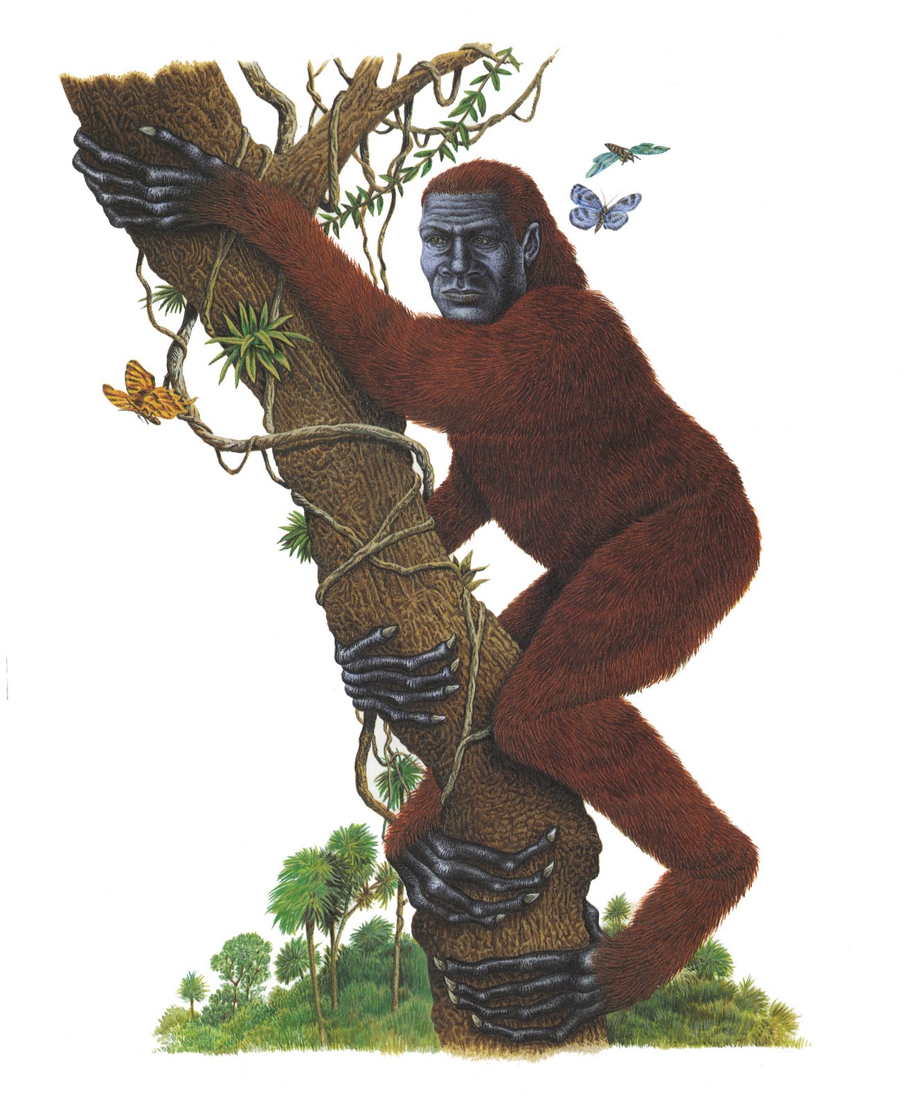 wlog: MAN OH MAN (after man): the art of dougal dixon