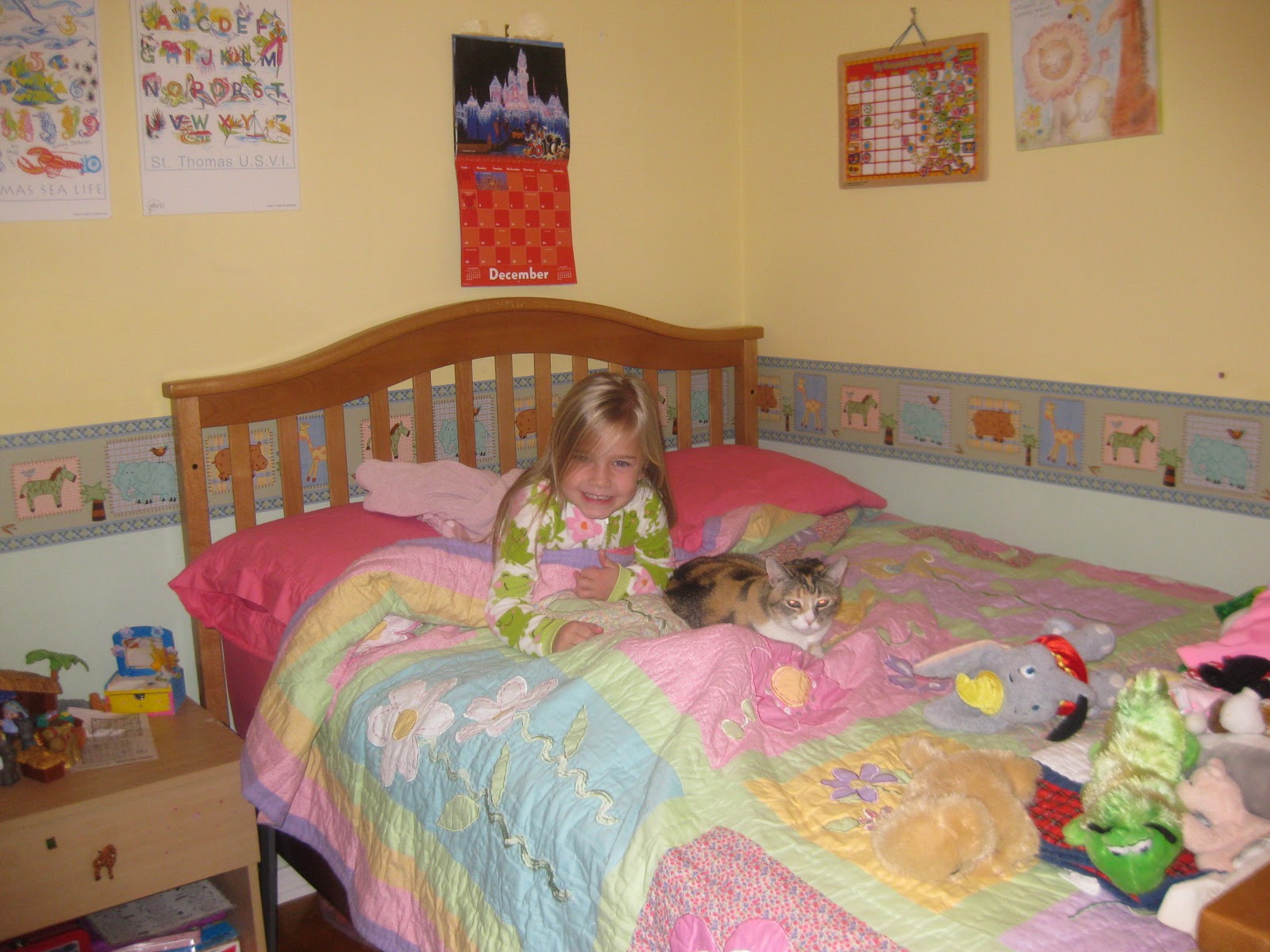 Pooping in Peace: The Big, Big Girl Bed