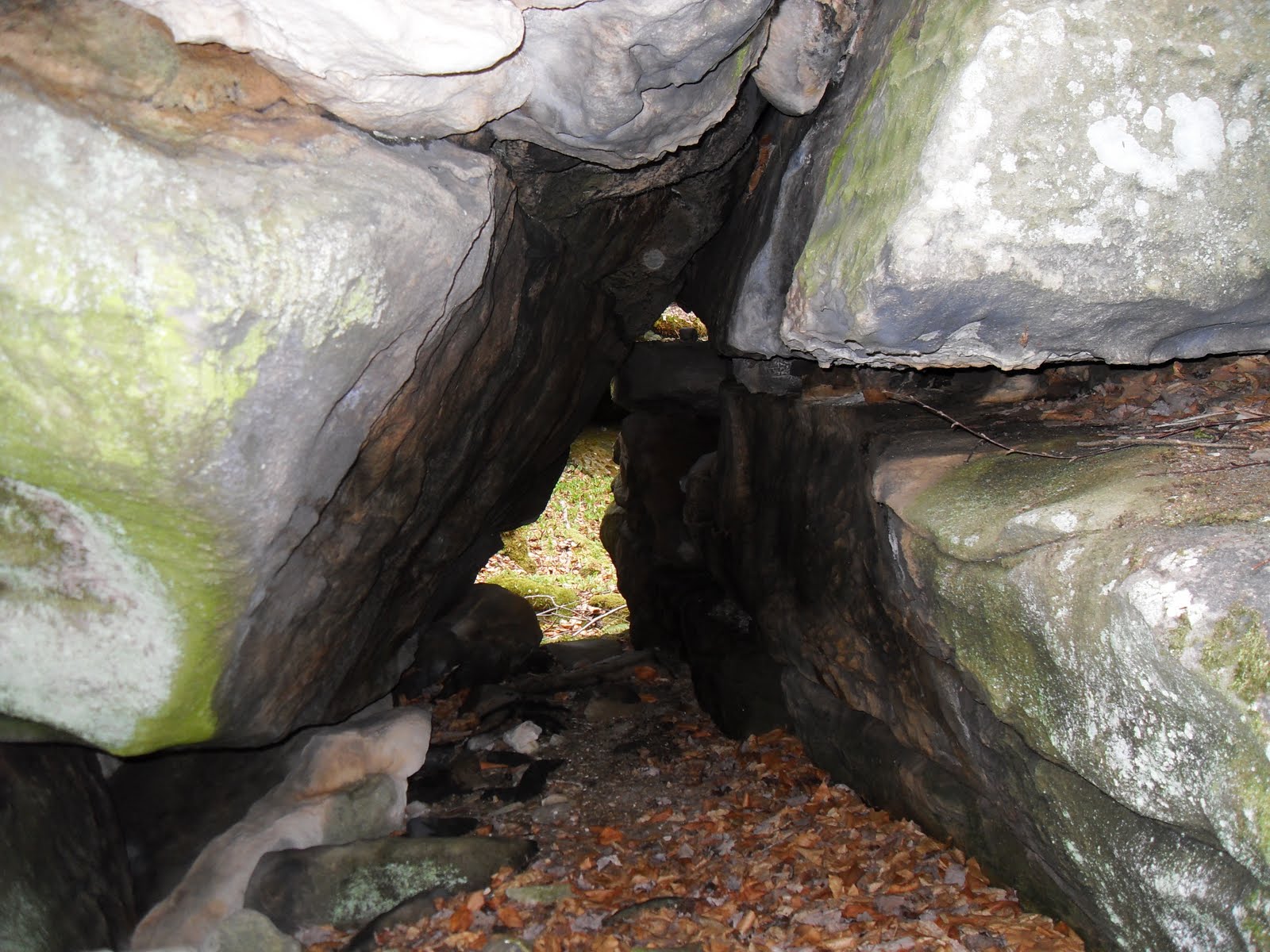 The Allegheny Journal: A Backwoods Adventure Guide: Watson Run Caves
