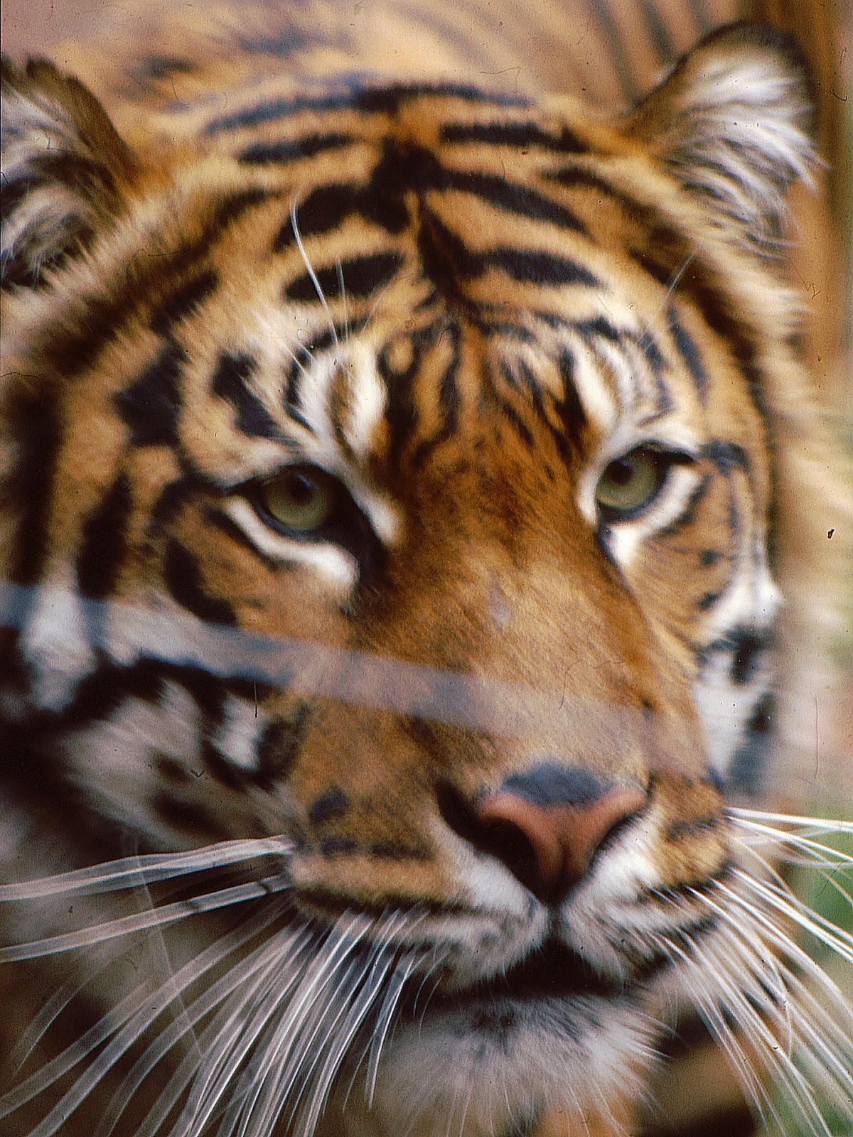 World Travel with Anne: November 2010