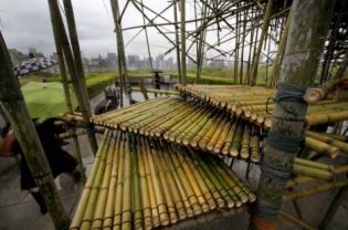 Cempaka Nature, Agriculture and Environment: Indonesian Bamboo Proposed ...