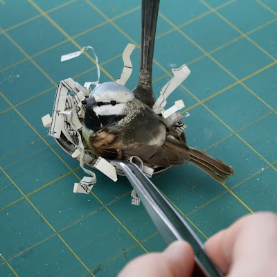 One Lucky Day: Tag instructions