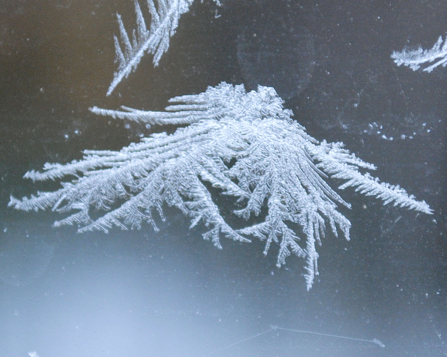 Frank's Photos: Window Frost