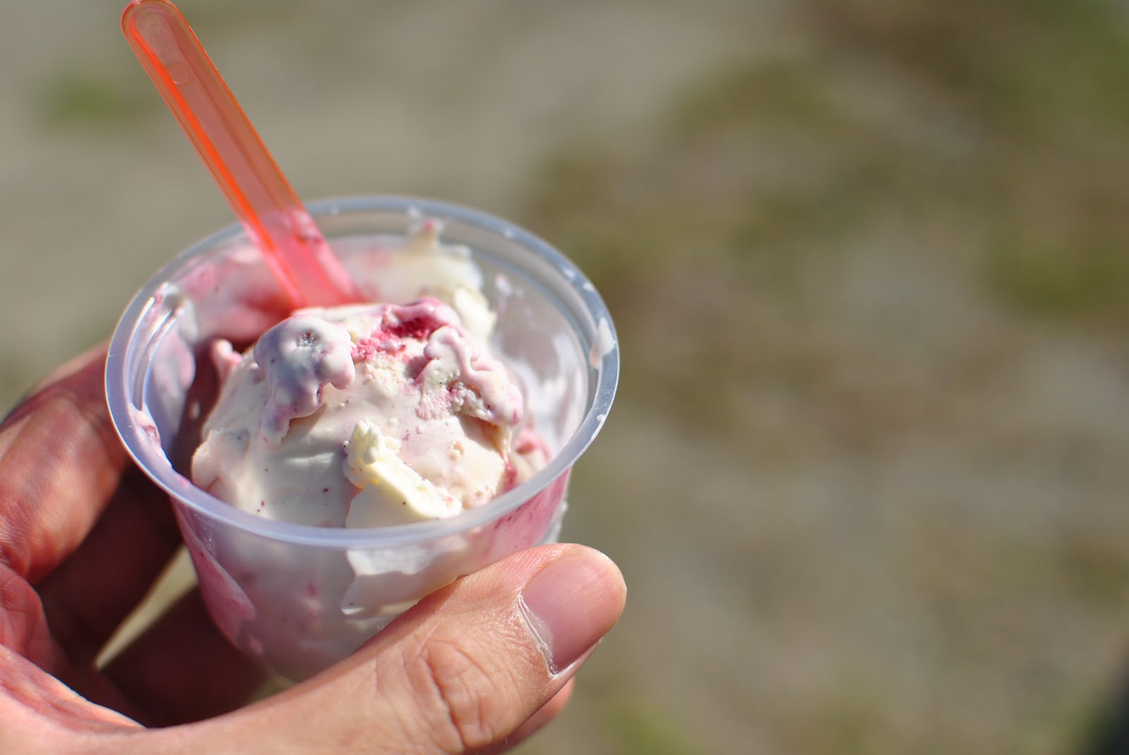 Food Health Reviews: Merry Moo Ice Cream