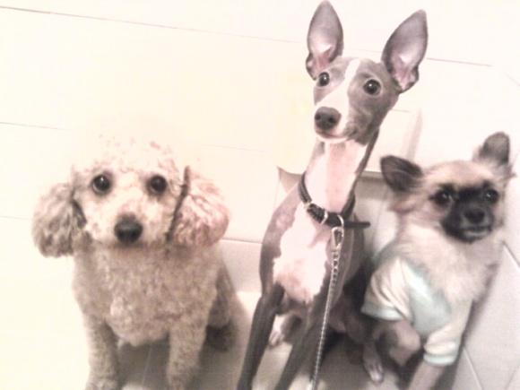 My Blog in BBFI: Goo Hye Sun Revamped Own Minihompy