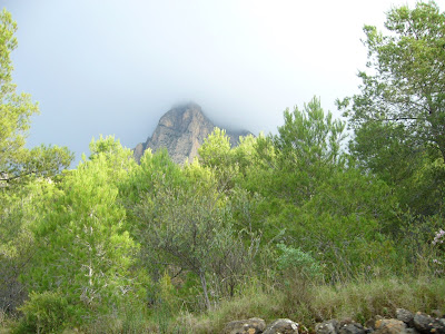FONT DEL MOLÍ - PUIG CAMPANA - CASTELLETS ~ Alicante Vivo