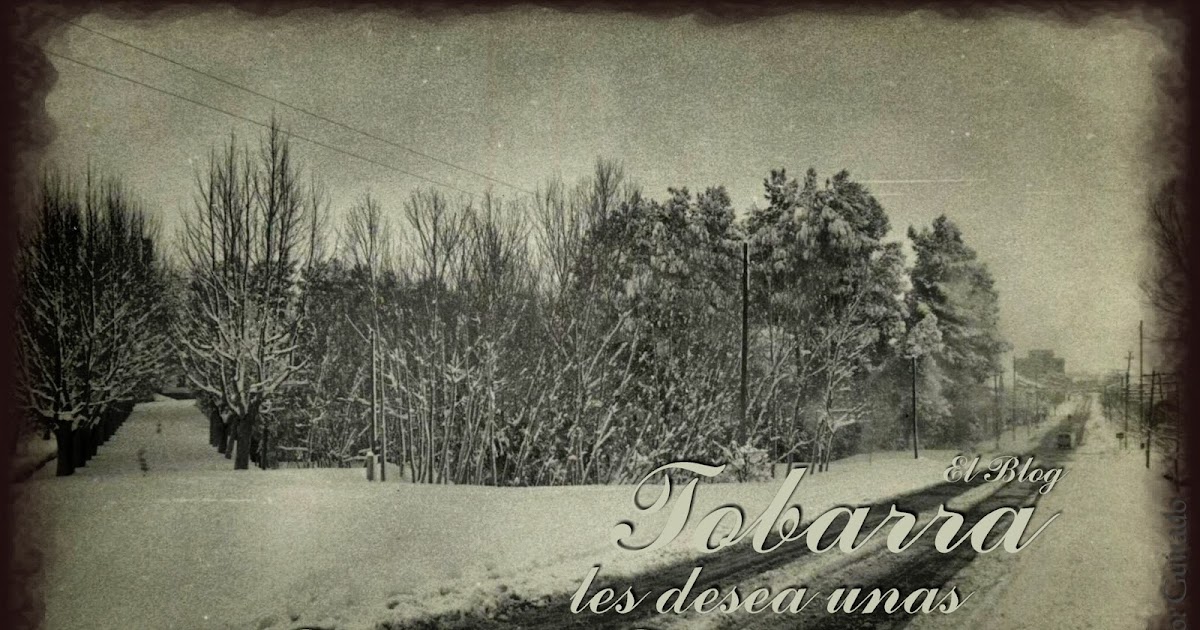 FELICITACIÓN DE JOSÉ RAFAEL NAVARRO ~ Alicante Vivo