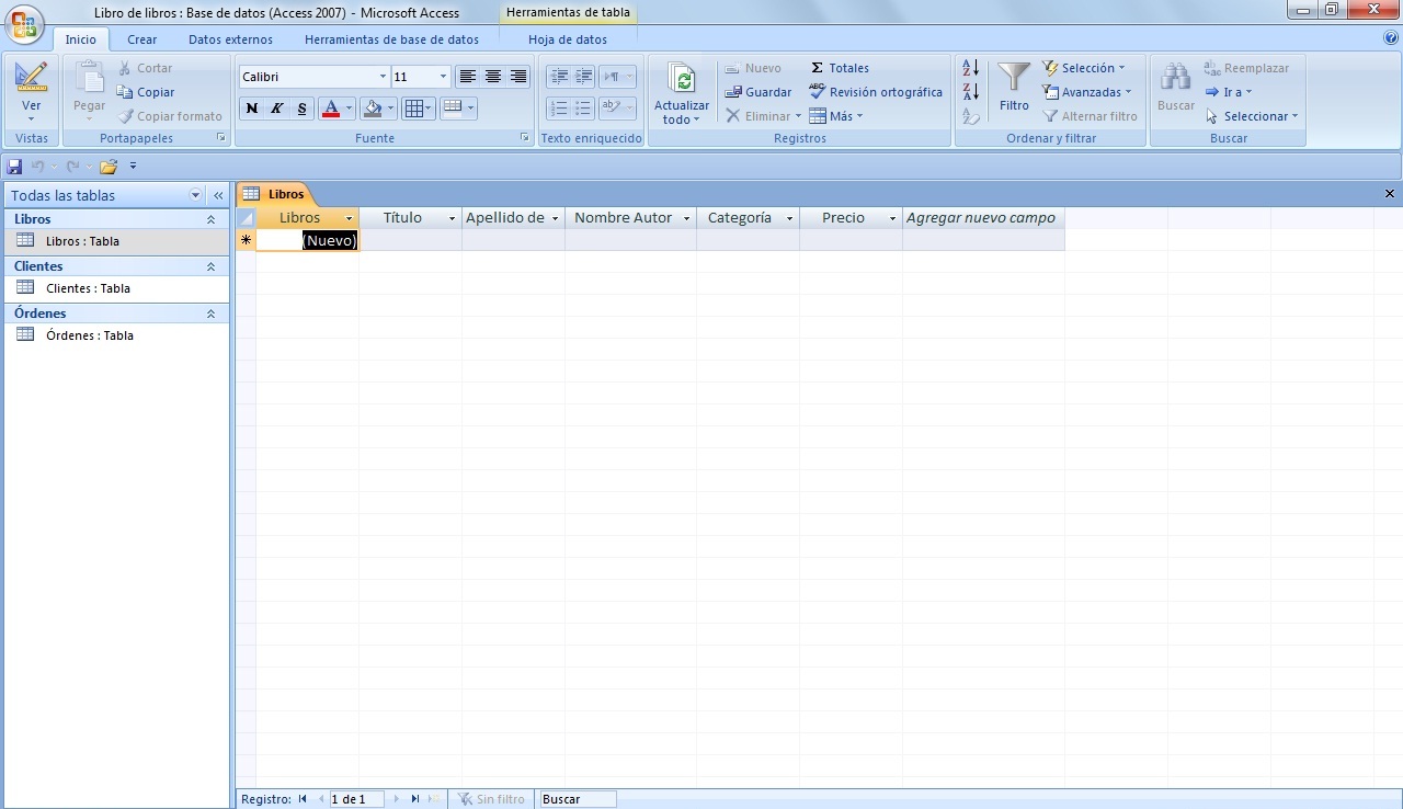 ACCESS 2007: PARTES DE UNA BASE DE DATOS DE ACCESS