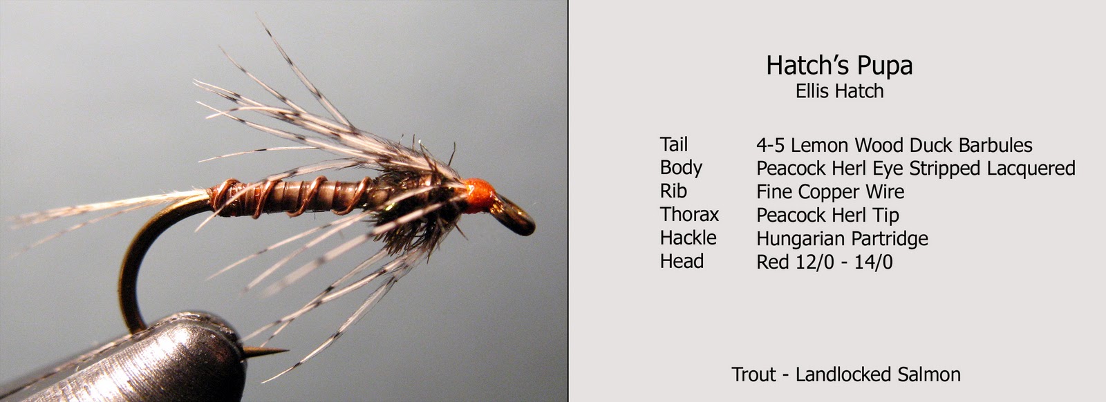 FlySpoke: FlySpoke Fly Patterns