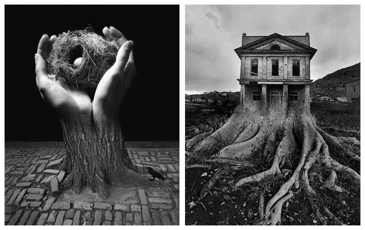 Harlequin Movement: Jerry Uelsmann