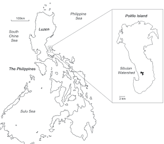 POLILLO ISLAND: History of Polillo Island