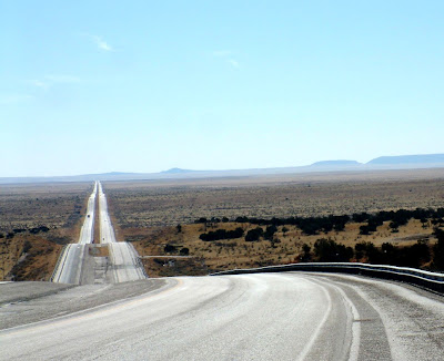 OUTDOORS NM: Head East to Lake Sumner for a Winter Angling Oasis