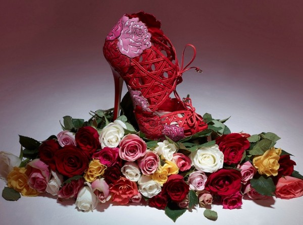 Sexy Shoes & Lingerie: Sarah Schofield for Dior