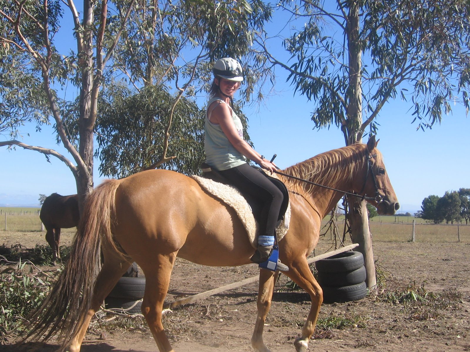 Southern Crosse Endurance Inc: Southern Crosse Endurance - who we are.