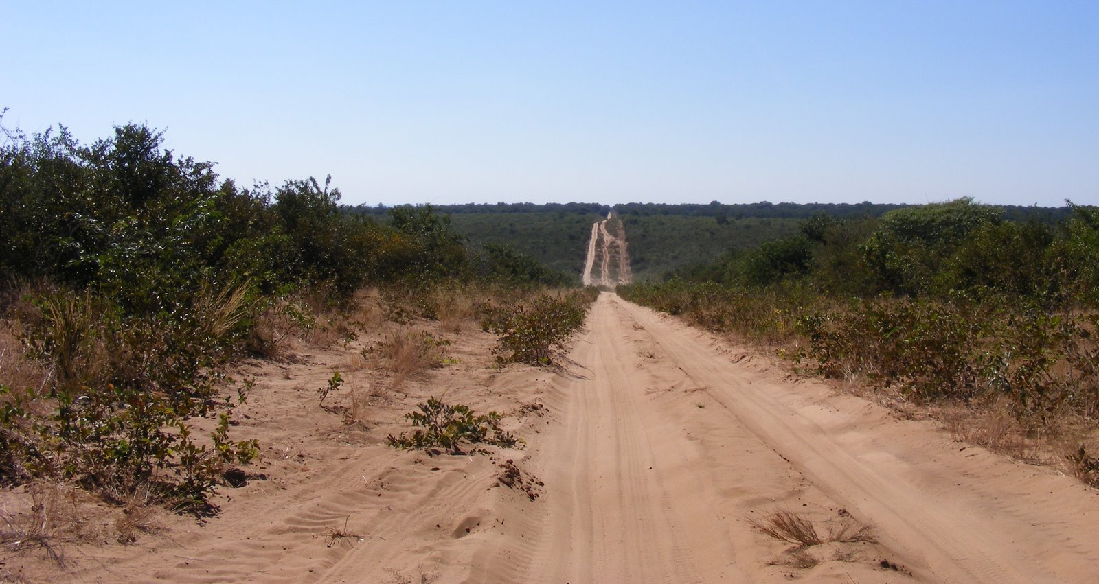 My Pictures....: Botswana - On the way to Kasane