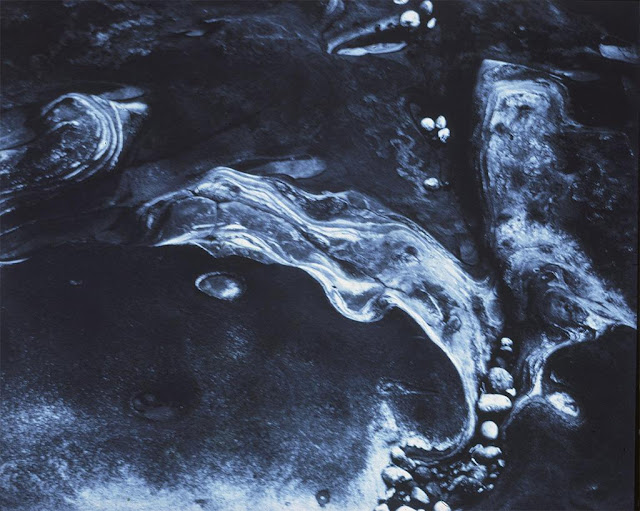 Nature Into Art With Minor White