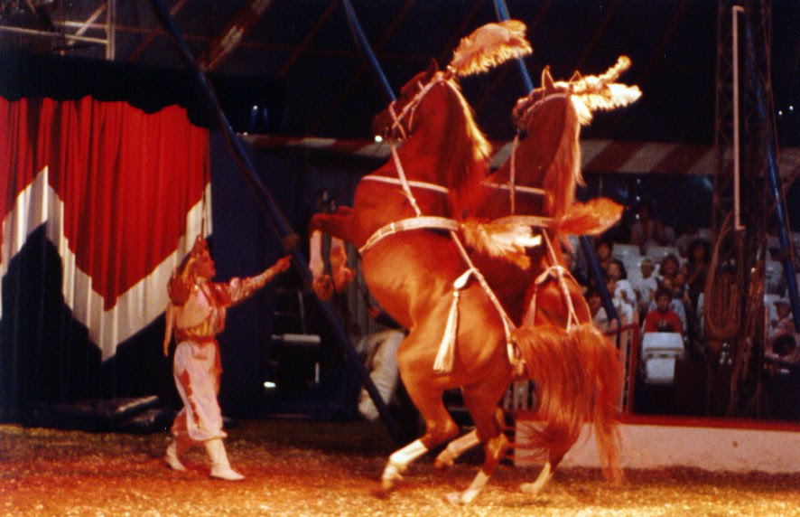 A friend of the Circus: Sally Ann Roncescu, Horses, Chipperfields ...