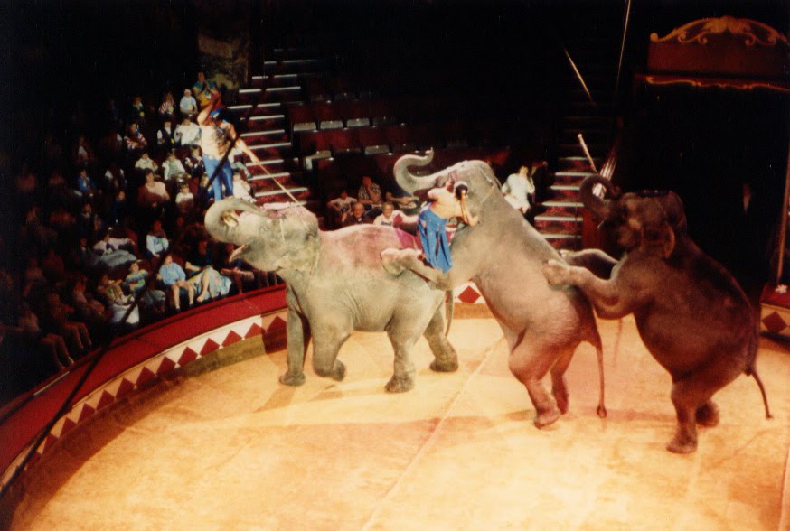 A friend of the Circus: The Amadeo Folco Family, Blackpool Tower Circus ...
