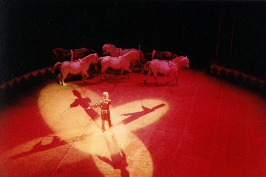 A friend of the Circus: The Amadeo Folco Family, Blackpool Tower Circus ...