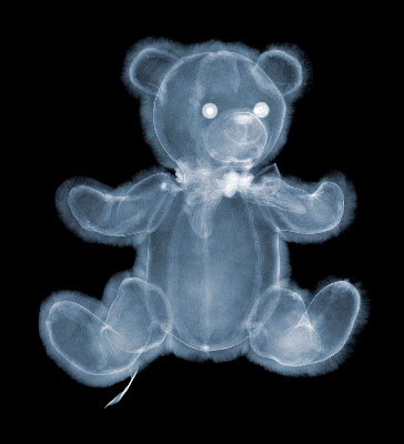 maaagda: X-Ray - by Nick Veasey