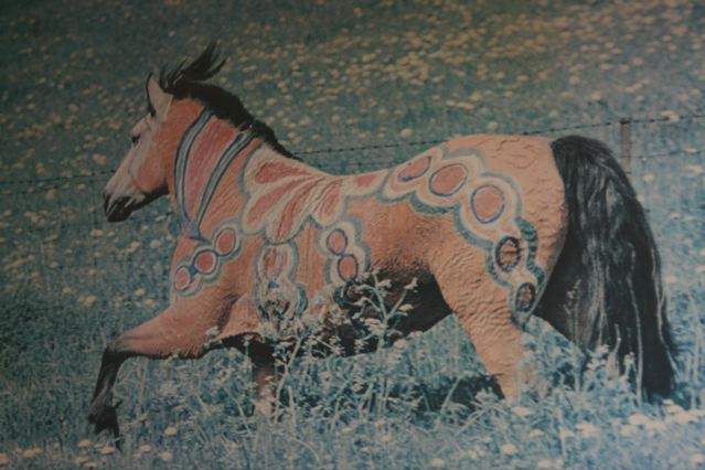 ChiIL Mama : Sweden 2010-Day 5-Wednesday, June 23 Orsa Bear Park and ...