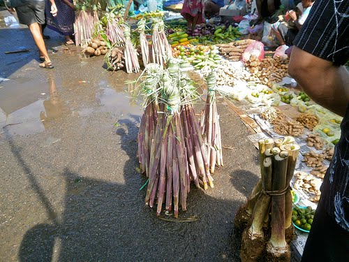 Babasiga: A favourite Fiji food