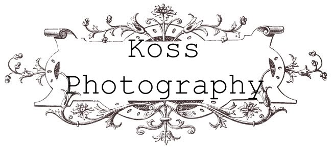 Koss Photography