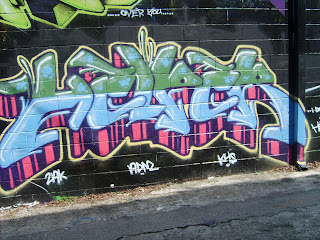 Intro to Art- Group Seven: Samantha's Graffiti Project