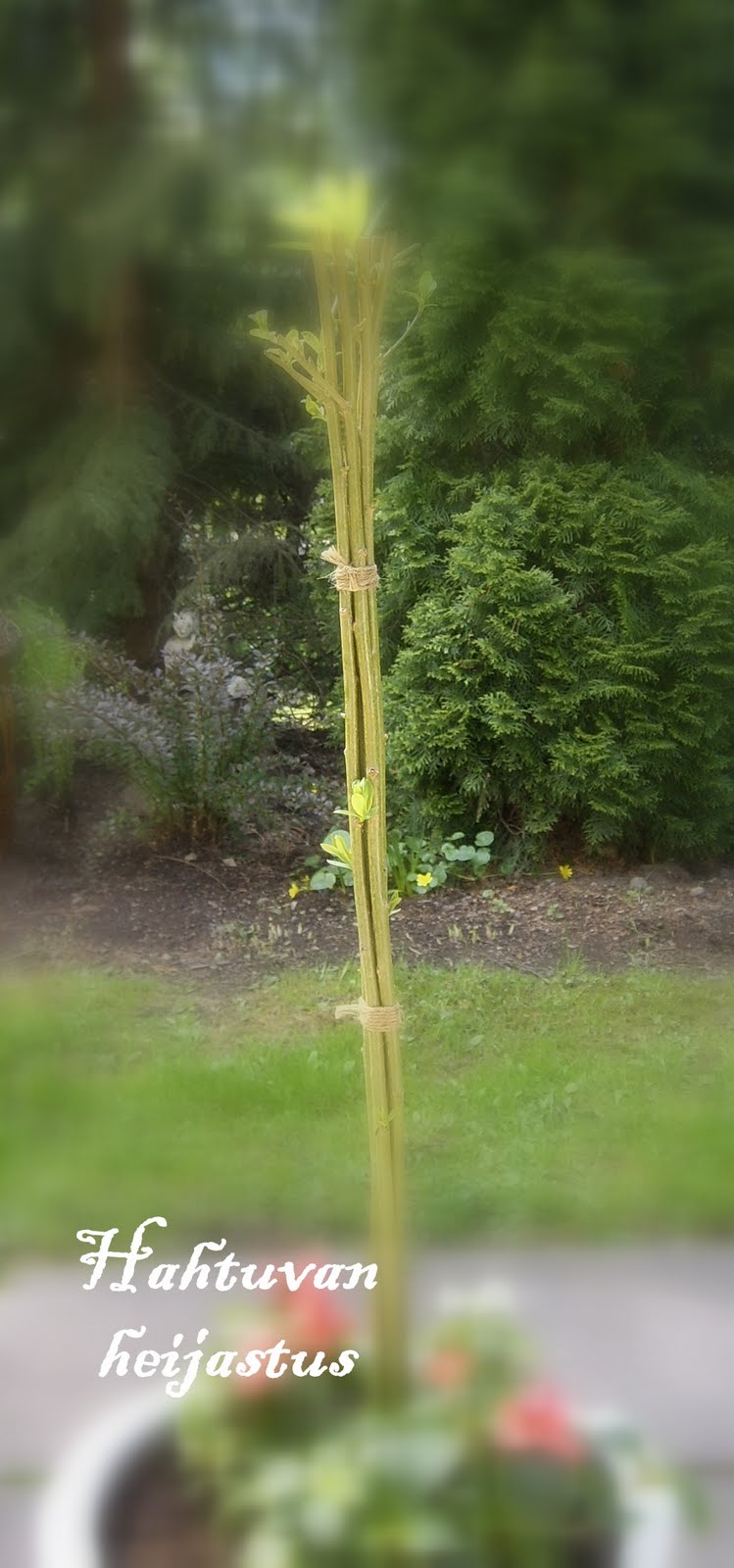 Hahtuvan heijastus: Yksinkertaisia ruukkupajuja